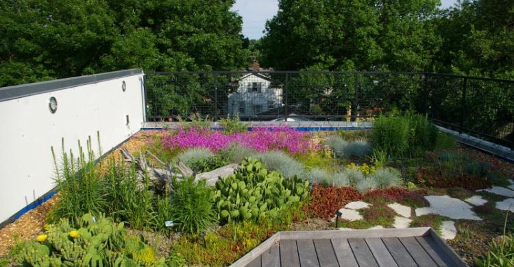 SITES | Developing Sustainable Landscapes